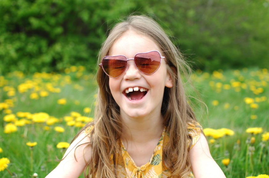 Secret Agent Training (otherwise known as SATs) - Picture-Taker, Memory ...