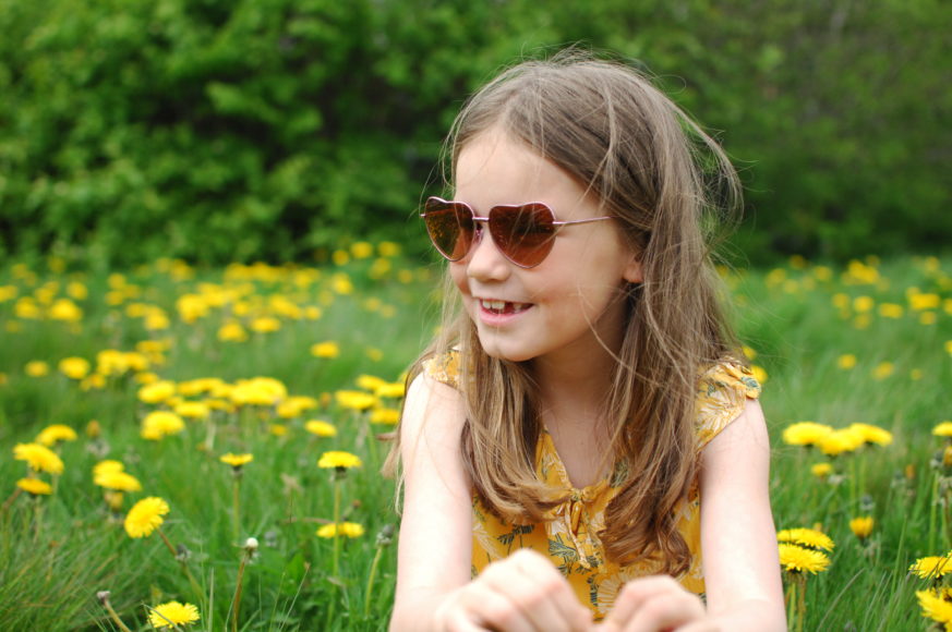 Secret Agent Training (otherwise known as SATs) - Picture-Taker, Memory ...