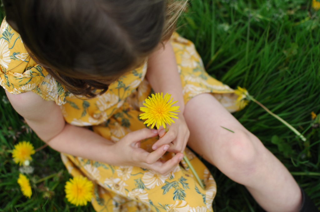 Secret Agent Training (otherwise known as SATs) - Picture-Taker, Memory ...