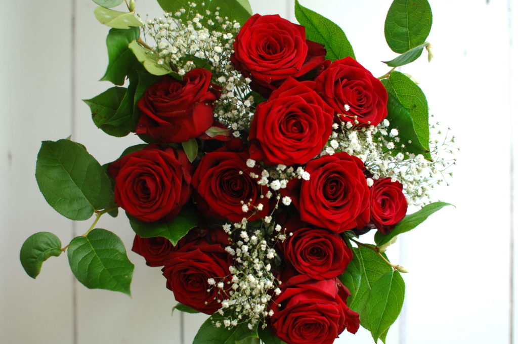 A Weird Week - Picture-Taker, Memory-MakerPicture-Taker, Memory-Maker